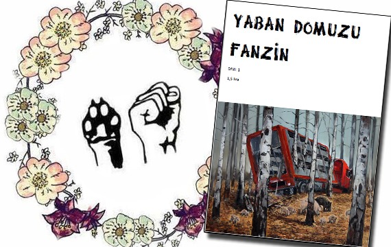 Sömürülenlerin Sesi: Yaban Domuzu Fanzin (PDFli) - Fanzin Apartmanı
